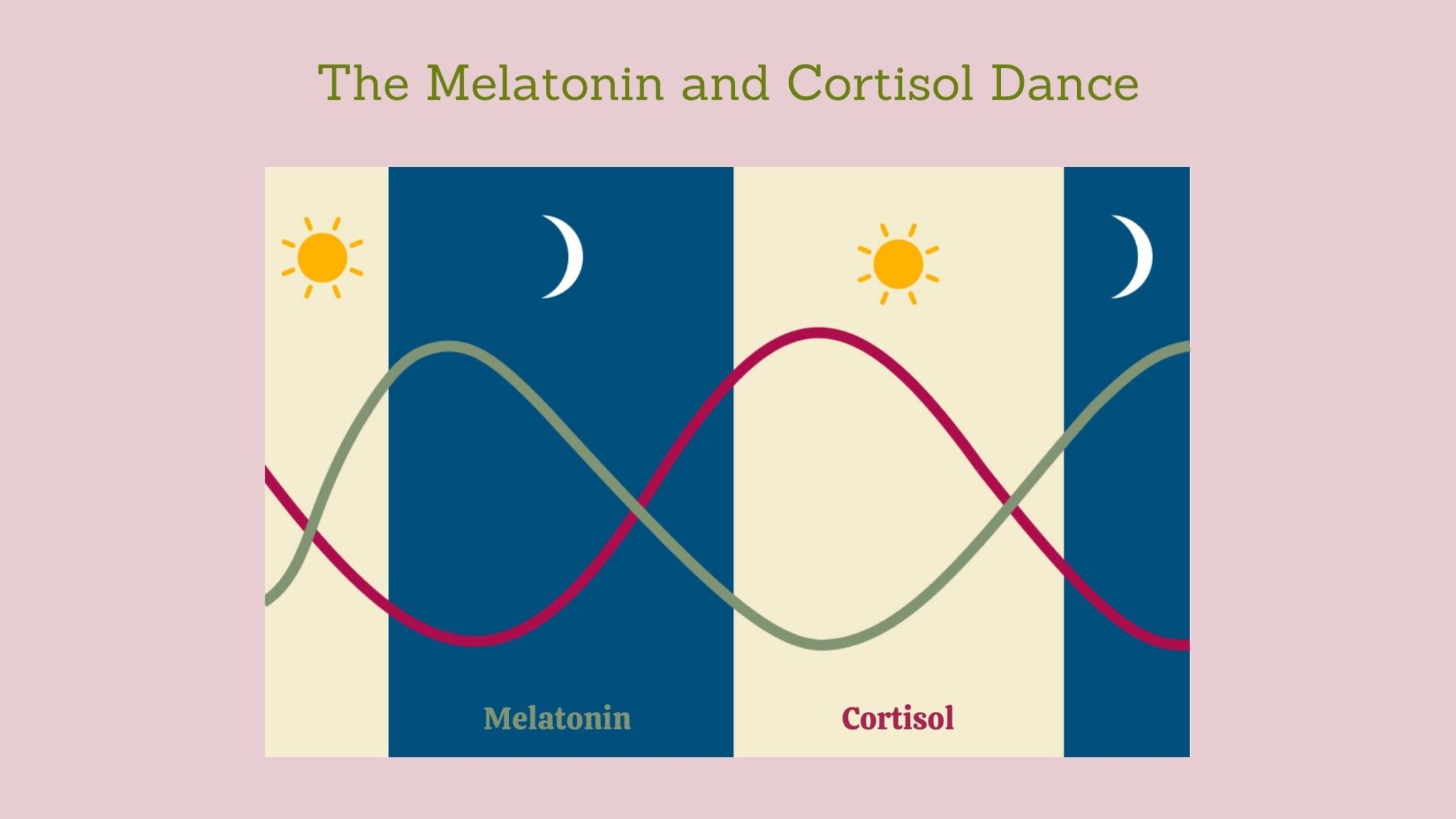 Want to Sleep Well? Let Melatonin and Cortisol Dance! - Dermatology ...